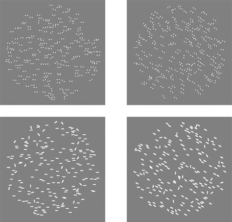 Noisy Oriented Texture Stimuli A B Glass Patterns C D Line
