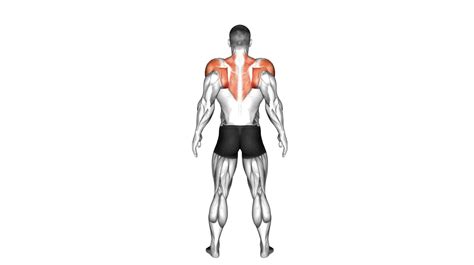 10 Exercise Band Exercises For Seniors A Comprehensive Guide To