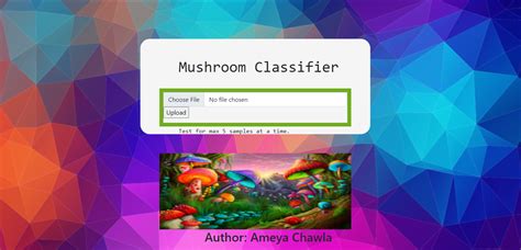 Github Ameyachawlaggsipu Ineuron Internship Mushroom Classification