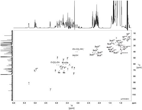 Nmr Analysis Of The Lipid A From C Canimorsus Wild Type 1h 13c Hsqc