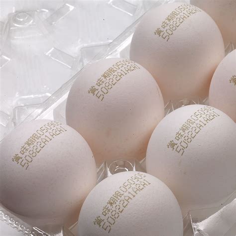 Coding On Food Kgk Jet India