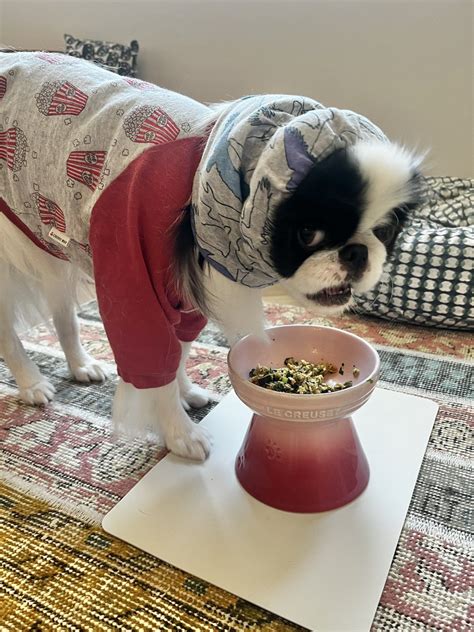 chai ruby kii ruby kii Twilog ツイログ chai ruby kii ruby kii Twilog ツイログ