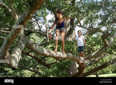 Two Girls Up On A Tree Branch Stock Photo Alamy