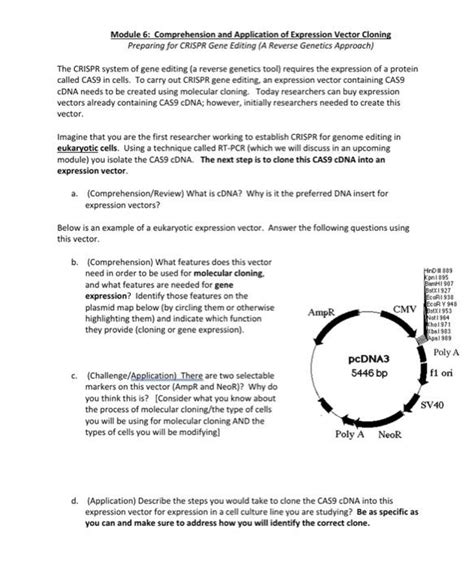 Solved Module 6 Comprehension And Application Of Expression