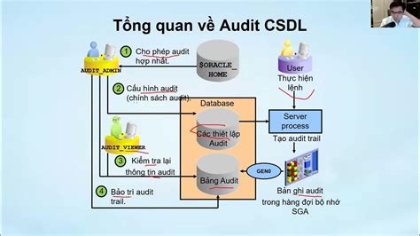 Buổi 12 11audit Trần Văn Bình Oracle Database Master Youtube