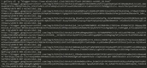 [blogger] gallery dl not downloading highest resolution · issue 3863