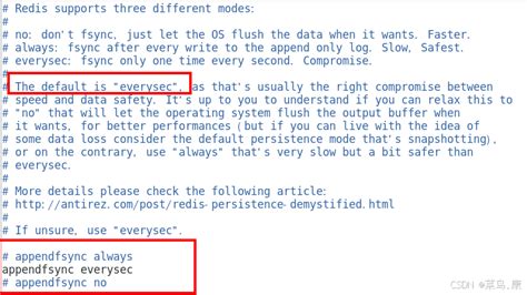 2024 07 29菜鸟学习redis 持久化redis菜鸟 Csdn博客