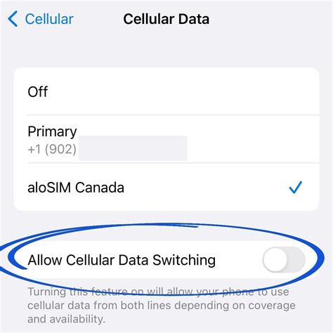 Data Esim Iphone Settings With Examples Alosim
