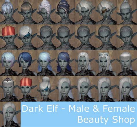 Beauty Shop Dark Elf Lineage2 Lindvior Lineage Ii News