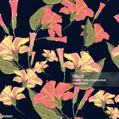 나뭇잎이 어두운 배경에 빨간색과 주황색 히 비 스커 스 꽃 0명에 대한 스톡 벡터 아트 및 기타 이미지 0명 개화기 계절 Istock