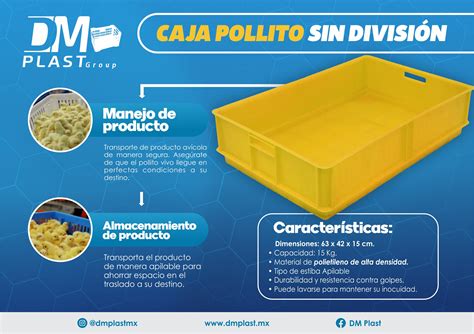 ¡transporta Tu Pollo Vivo De Manera Segura Con La Caja Pollito Con Y Sin División De Venta En