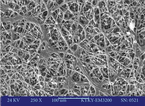 Poly L Lactic Acid Poly ε Caprolactone Pllapcl Nanofibrous Scaffold Download Scientific