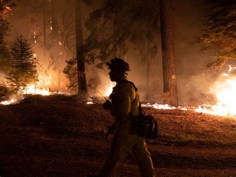 Denis Milne Sex Hd Sex Pictures Pass