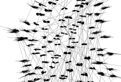 Bigdata Algorithm Or Js Graph Drawing Library That Can Generate A