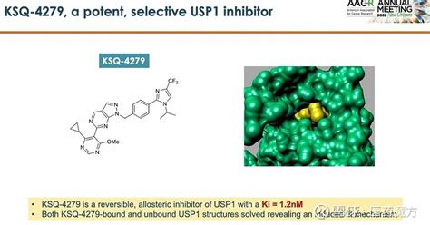 2022 Aacr总结：最值得关注的小分子药物研发方向top10 2022年美国癌症研究协会（aacr）已然落幕，作为全球历史最悠久、规模最大的肿瘤研究学术会议之一，aacr聚集了高质量