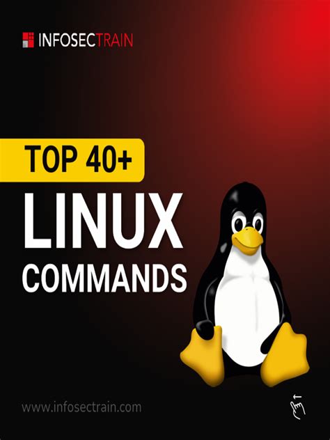 Top 50 Linux Commands Pdf Career And Growth