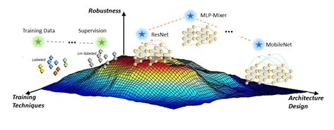 Jiakai Wang 王嘉凯