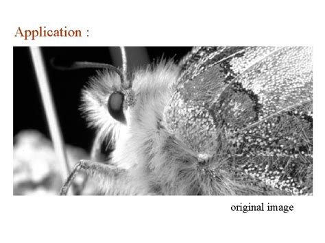 multidimensional data analysis the blind source separation problem