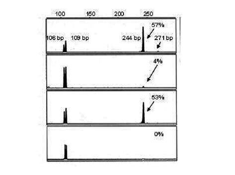 Fragment Length Analysis By Capillary Electrophoresis Of Cut V A27 Pcr