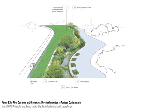 Phytoremediation Design
