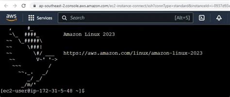 How To Install Nginx On Amazon Linux 2023 Instance Cloudkatha