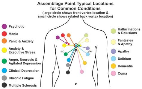Assemblage Point The “seat Of Our Consciousness” Conscious Reminder