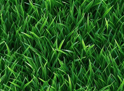 Premium Photo Green Grass Seamless Texture Seamless In Only Horizontal Dimension