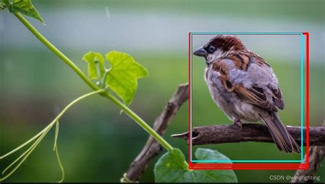 【yolov5 Opencv Dnnc 】进行对象检测yolov5 And Opencv Dnn In Cpp And Python