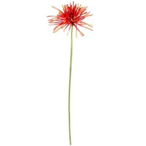Bespoke Home Spider Mum Stem