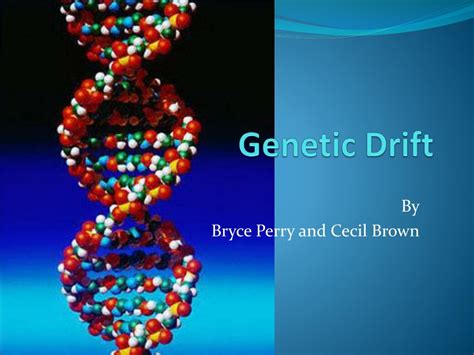 Ppt Genetic Drift Powerpoint Presentation Free Download Id1737189