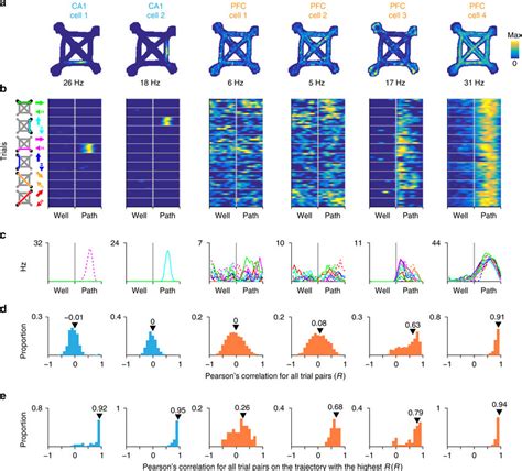 Example Ca1 And Pfc Task Activity Patterns A Occupancy Normalized Download Scientific Diagram