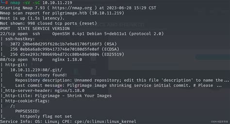 Htb Hackthebox Pilgrimage Writeup靶机pilgrimage渗透测试hack The Box