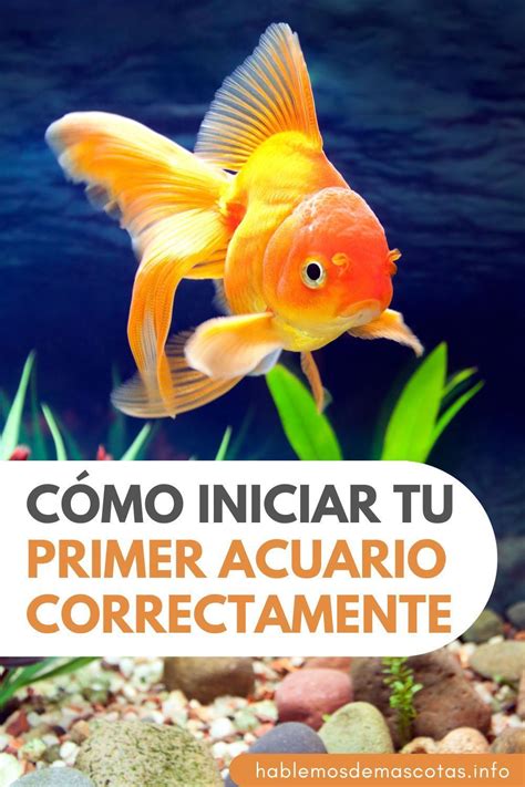 Acuario