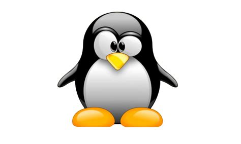 GitHub Wiseupdata Shell Linux