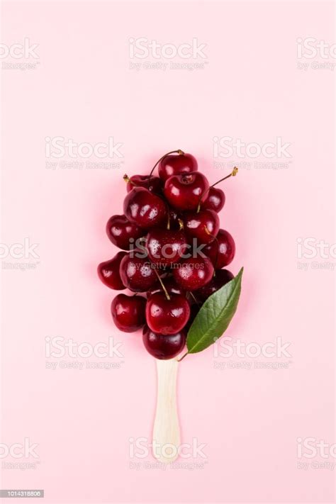 분홍색 배경에 아이스크림 아이스의 형태로 익은 벚꽃 최고의 볼 수 있습니다 음식 배경 0명에 대한 스톡 사진 및 기타 이미지 0명 개체 그룹 건강한 식생활 Istock