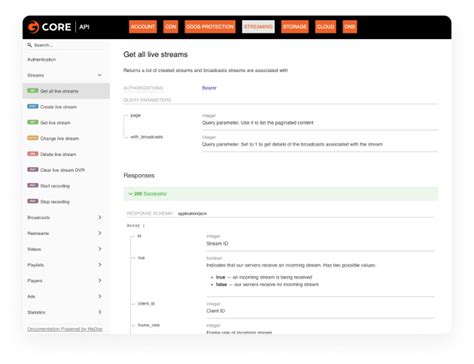 Infrastructure For Streaming And Video Services