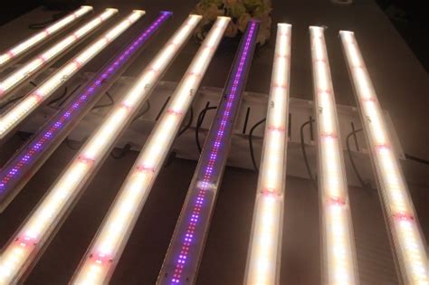 완전 스펙트럼 Led 가벼운 Uv Ir 의 고품질 완전 스펙트럼 Led 가벼운 Uv Ir