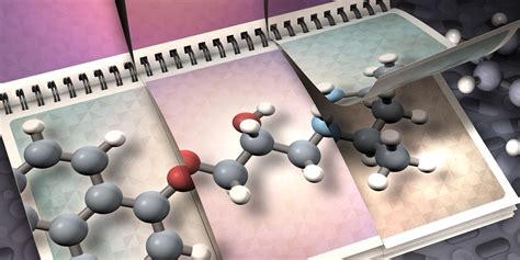 Beta Blockers For Cardiovascular Conditions One Size Does Not Fit All Patients Bpacnz