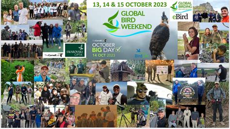 Global Birding And EBird For Global Bird Weekend Society For The Protection Of Nature In Lebanon