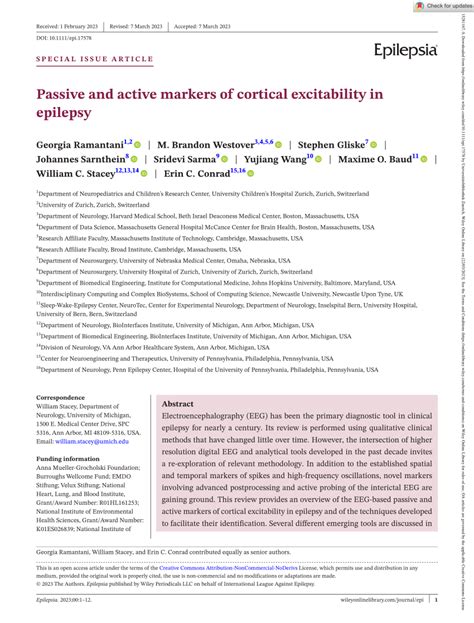 Pdf Passive And Active Markers Of Cortical Excitability In Epilepsy