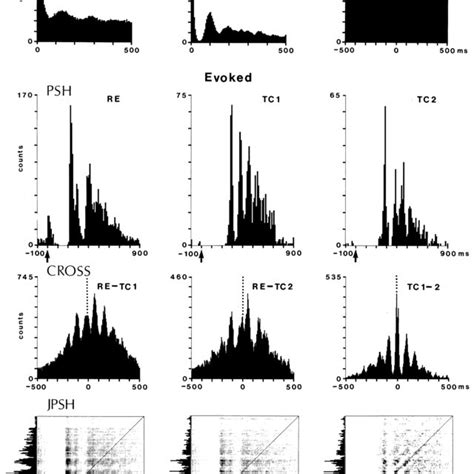 Cortical Stimulation Enhances Synchronization Of Spindle Oscillations Download Scientific