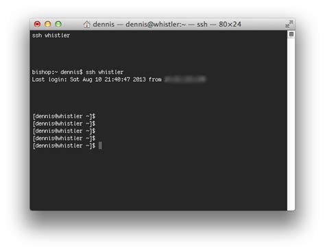 mac os x terminal startup slow dennis tsang