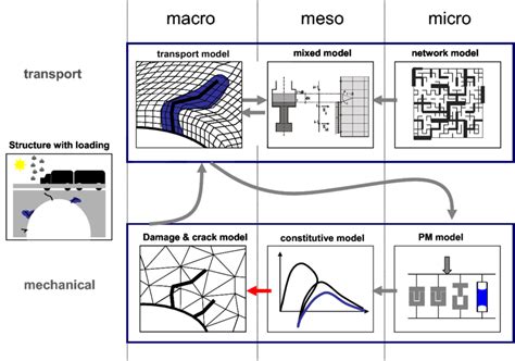 Schematic Overview Of The Multiscale Model For Coupled Transport And Download Scientific