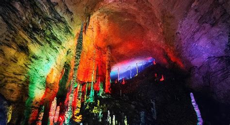 Yellow Dragon Cave All You Should Know Before Going 2026 Reviews