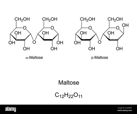 Sugars Are The Components Of Maltose At Lisa Castillo Blog