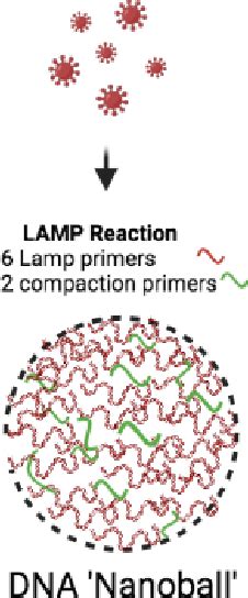 Figure 1 From Electrical Detection Of Dna Nanoballs Using Impedance Spectroscopy In A
