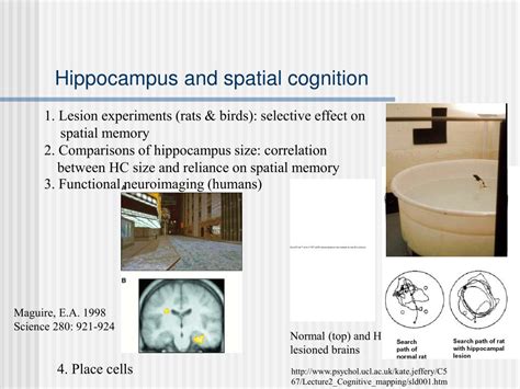 Ppt Spatial Cognition Powerpoint Presentation Free Download Id 1286517