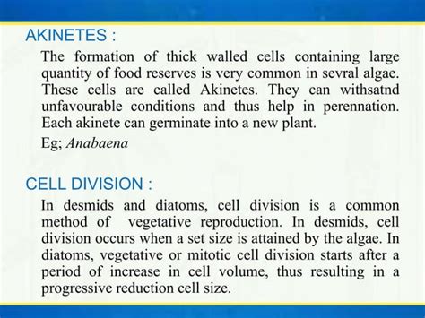 Reproduction Of Algae Vegetative Asexual And Sexual Reproduction Pptx