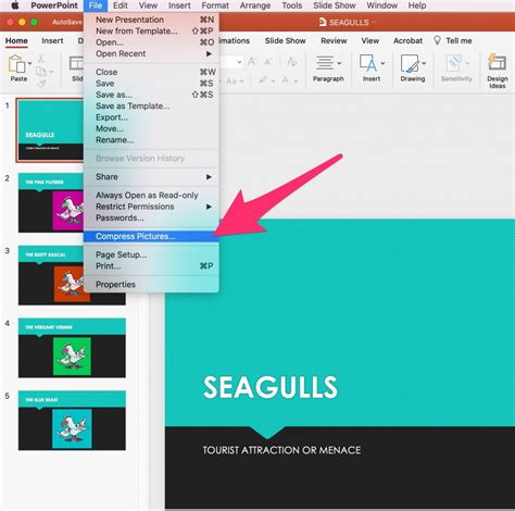 Reduce The Size Of Images In A Powerpoint File How To