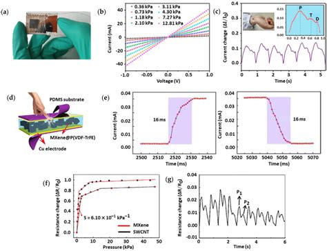 A Photographic Image Of The Piezoresistive Ti3c2tx Pdms Pressure Download Scientific Diagram